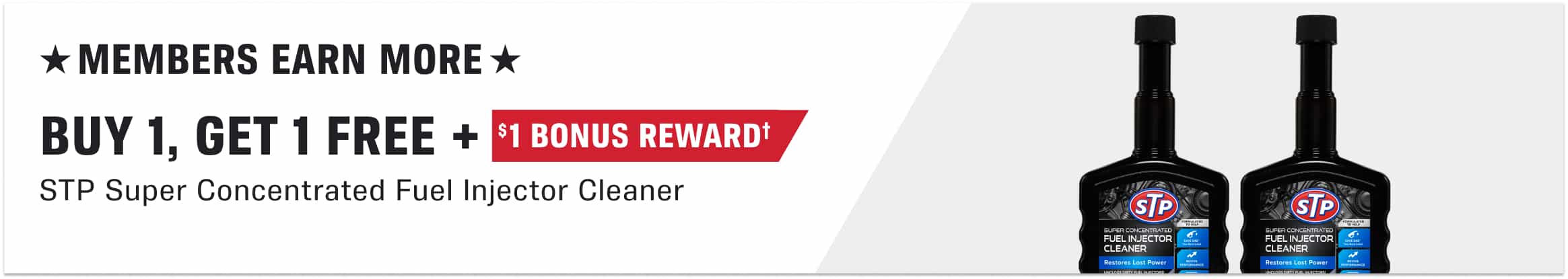 LIQUI MOLY Fuel Injector Cleaner - AutoZone