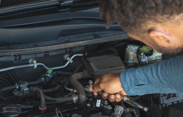 AllDatadiy- AutoZone