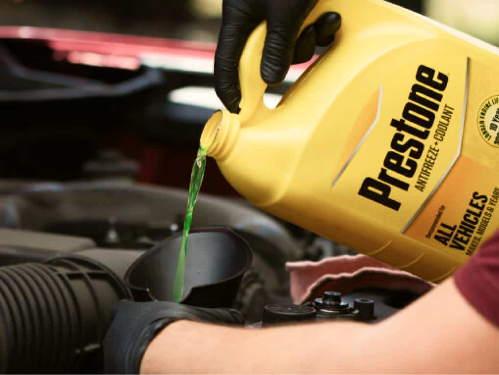 Summer Car Essentials | AutoZone