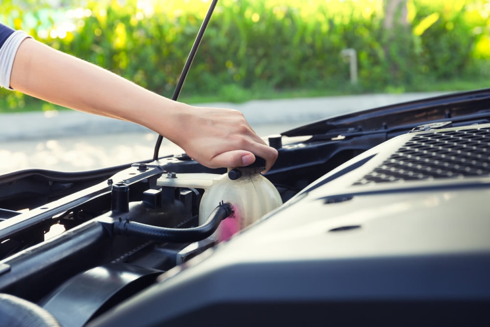 Antifreeze Buying Guide: Choosing the Right Coolant - AutoZone