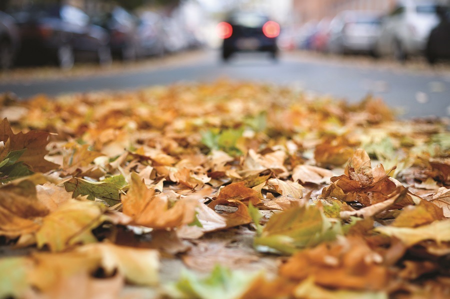 How to Care for Your Car this Fall - AutoZone