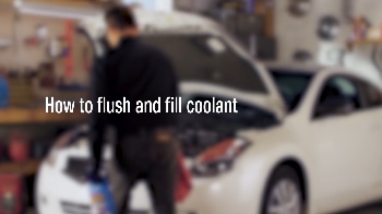 How To Flush Fill Coolant Autozone